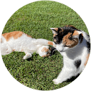 About Us - Healthspan Collective